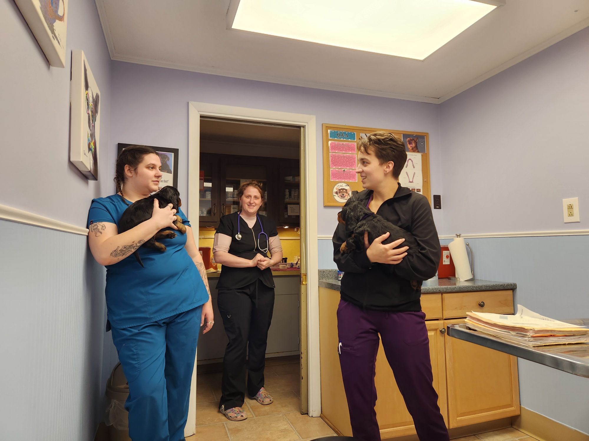 1st trip to the vet! – Ravenrose Gordon Setters